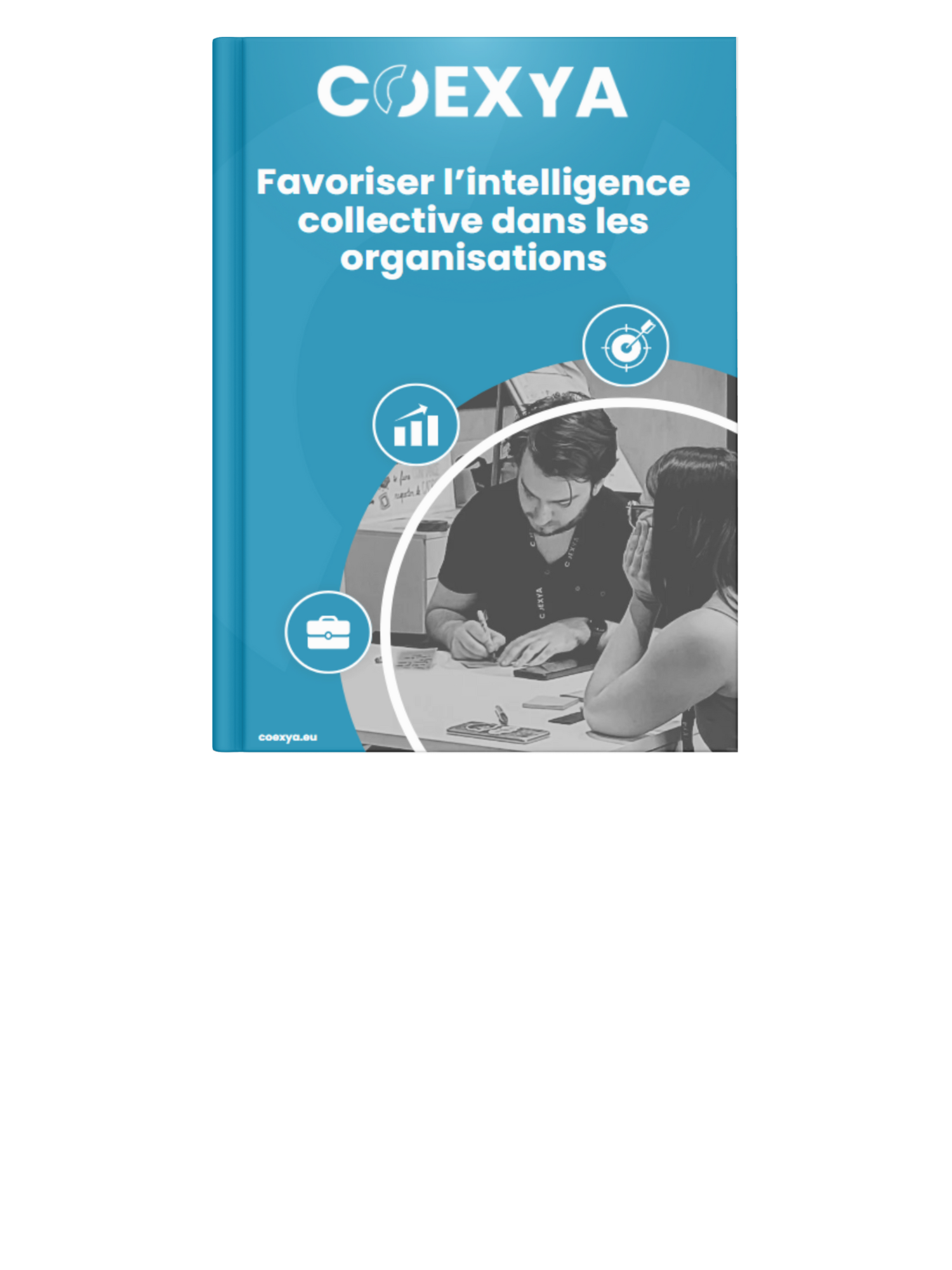 Découvrez les publications et livres blancs de Coexya